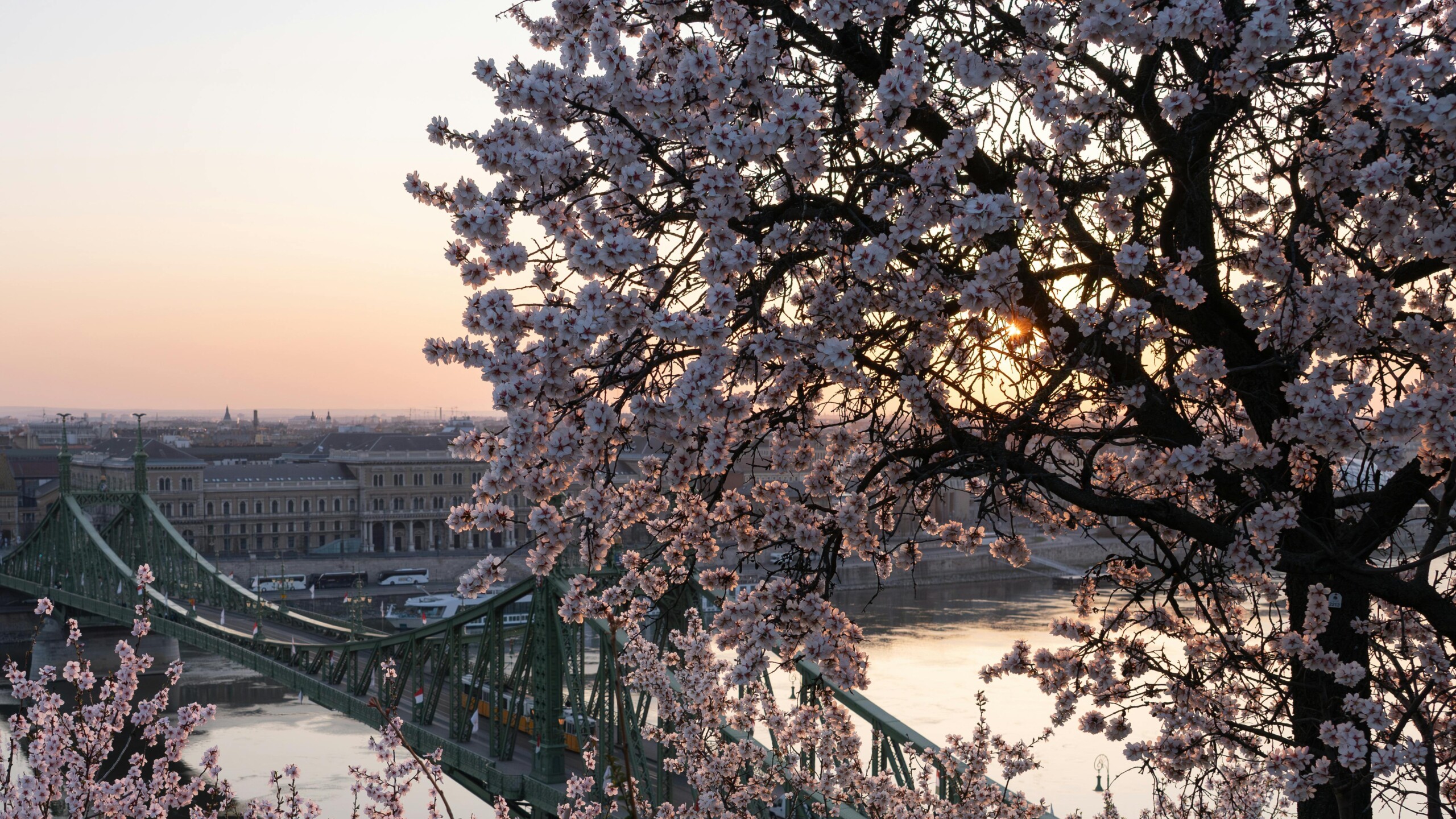 Easter in Hungary: A Complete Guide to Spring Traditions